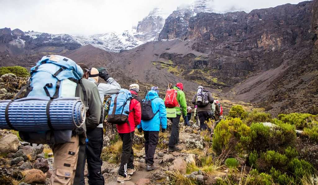 Eco-friendly Kilimanjaro group trekking