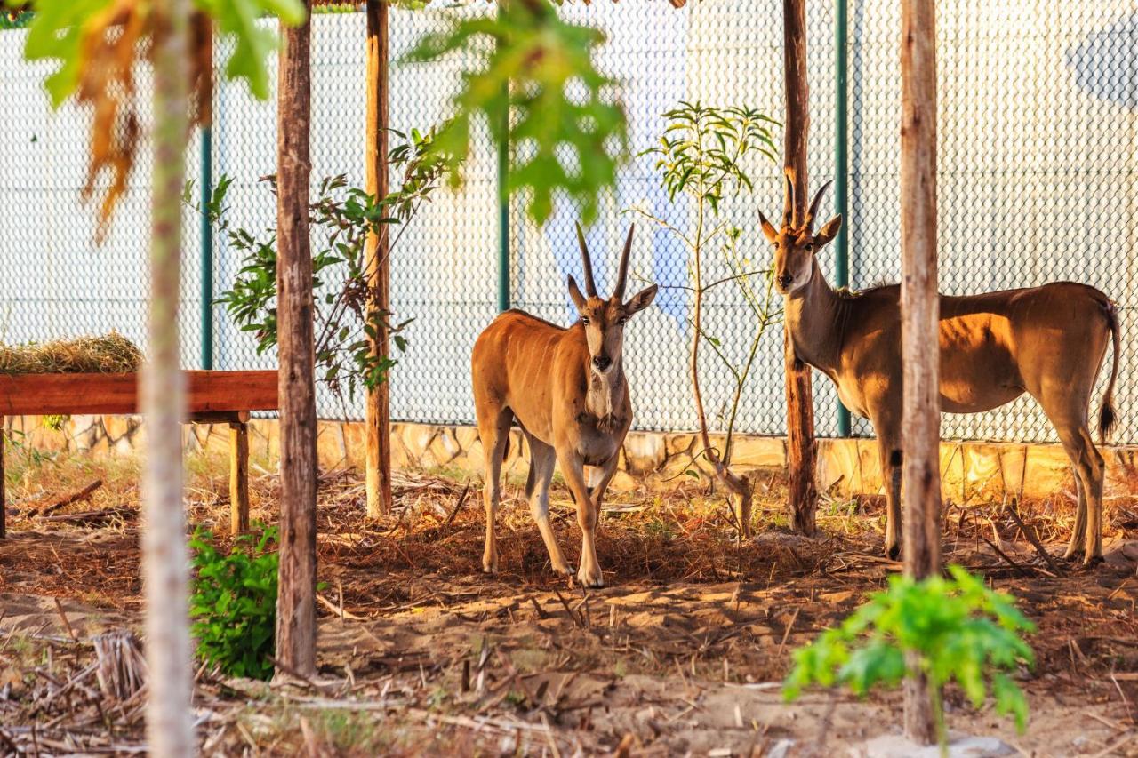 Is there a zoo in Dar es Salaam?