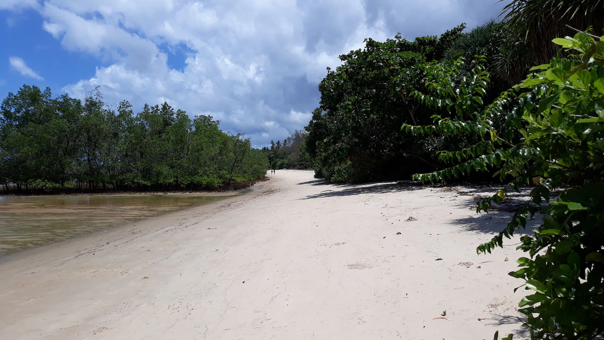 Remote destinations Mafia Island