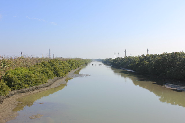 Ultimate Guide to Chunya River