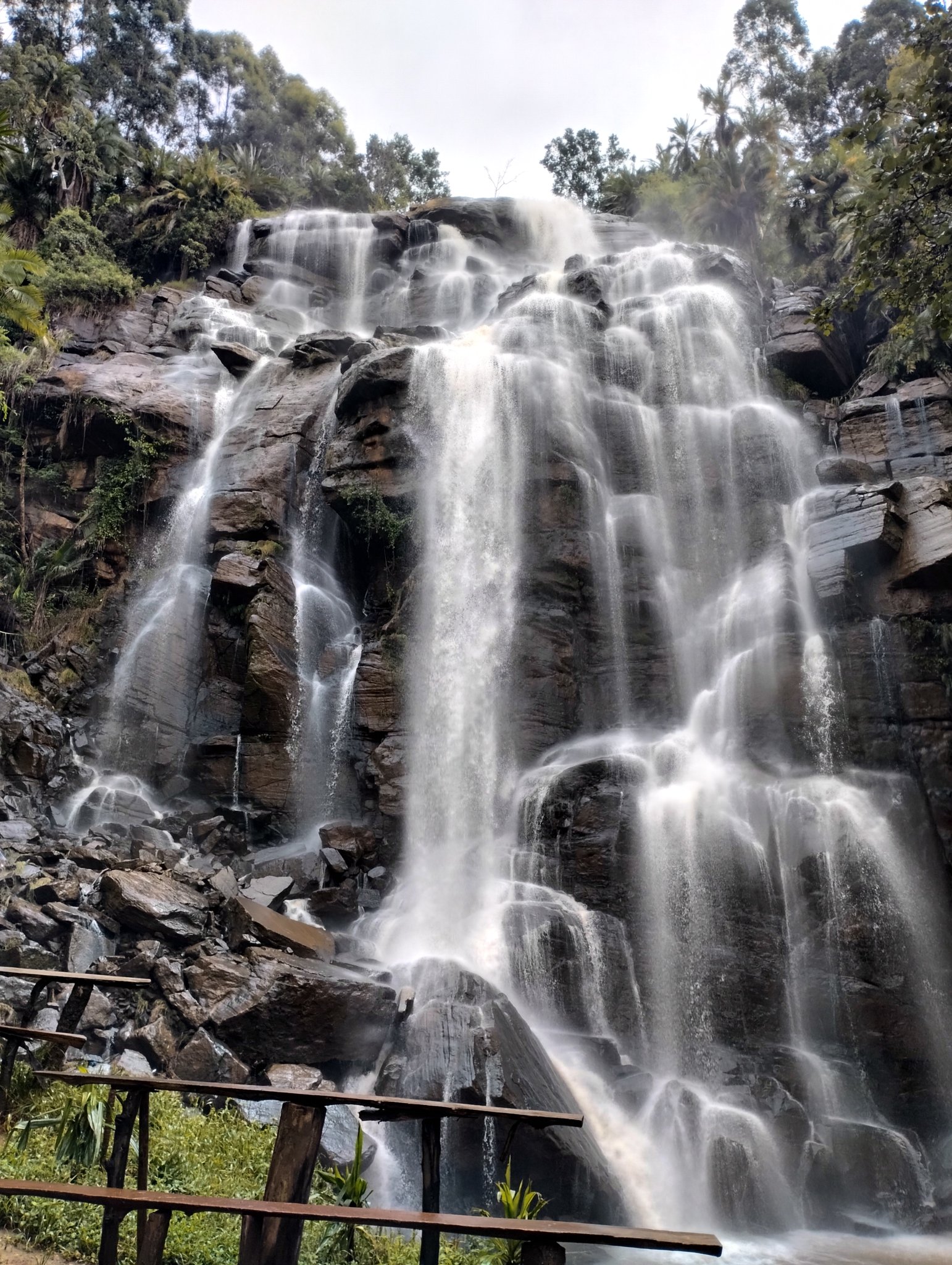 Ultimate Guide to Kisasa Waterfall-Lushoto