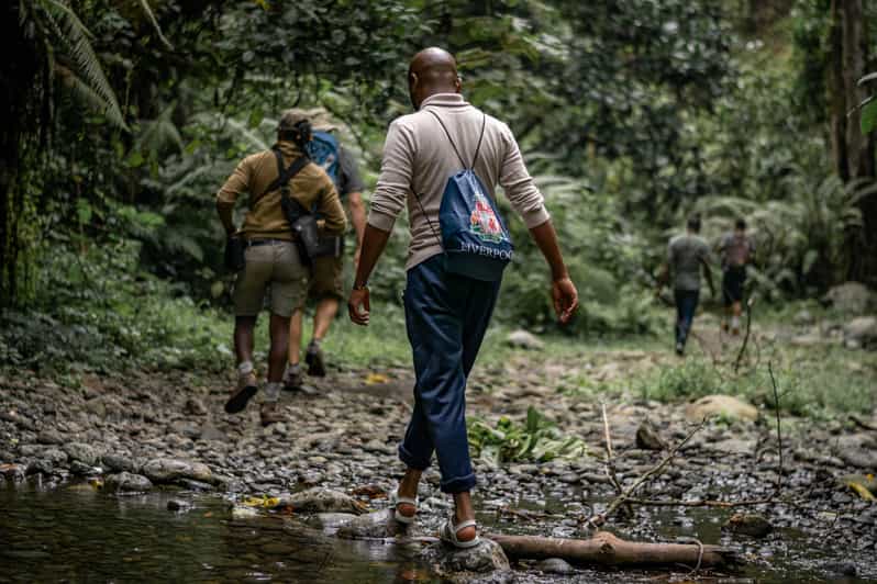 Ultimate Guide to Meru Forest, Arusha